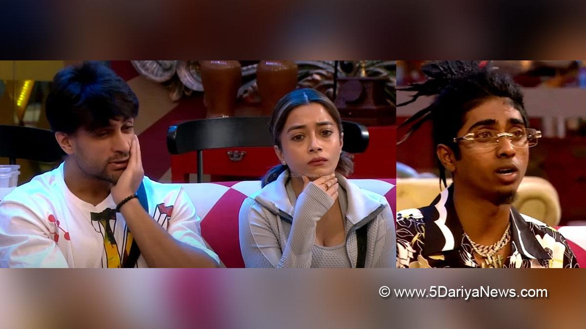 'Bigg Boss 16': Shalin Bhanot wants to hit MC Stan for nominating Tina ...