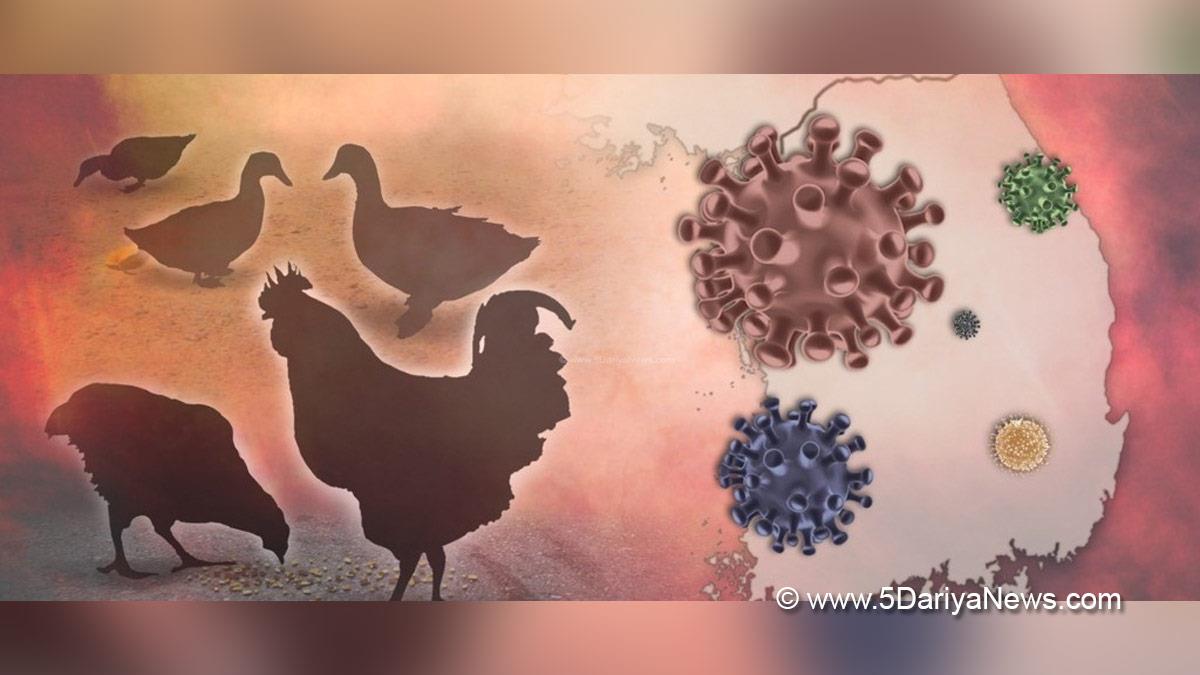 Bird flu viruses can resist fever, increase threat to humans : Study